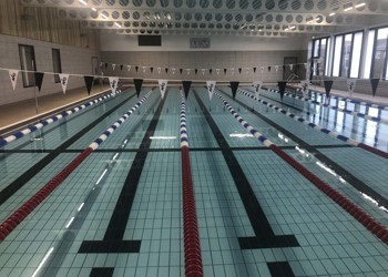 The Bulmershe School